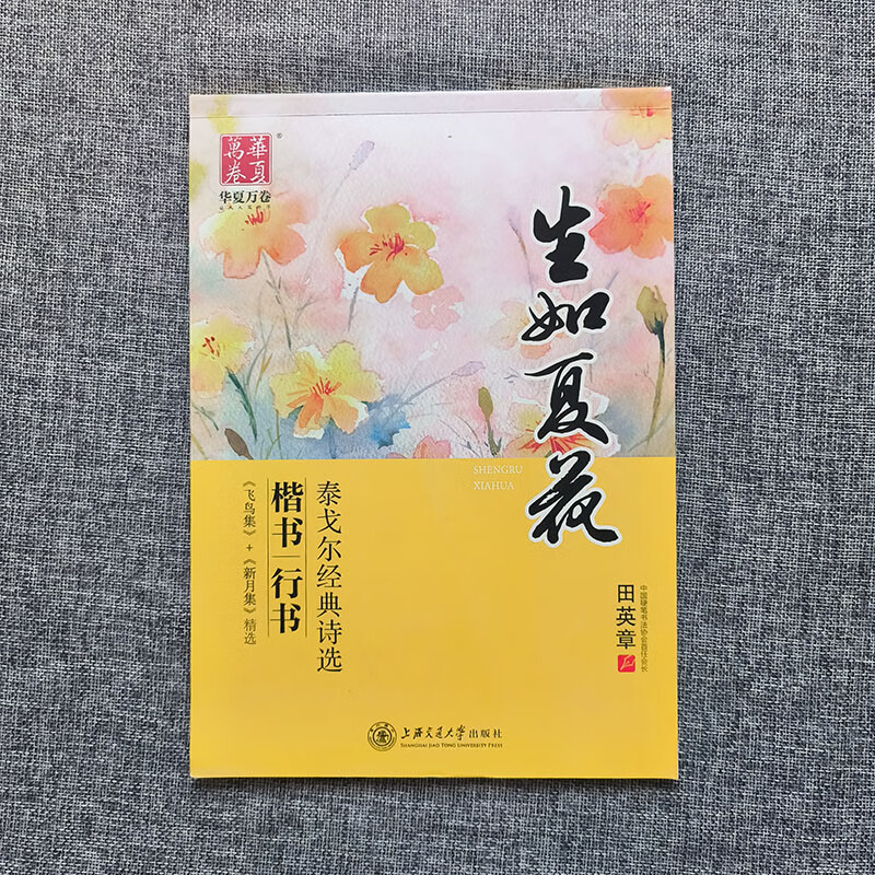 字帖唐诗宋词名家散文楷书入门速成技法教程笔画偏旁间架结构常用7000字控笔训练田英章卢中南吴玉生正楷行书行楷钢笔书法 生如夏花(楷书行书)田英章