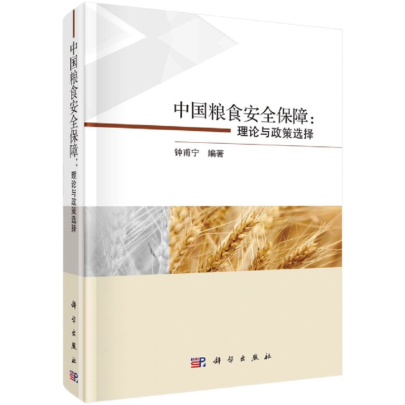 中国粮食安全保障--理论与政策选择(精)