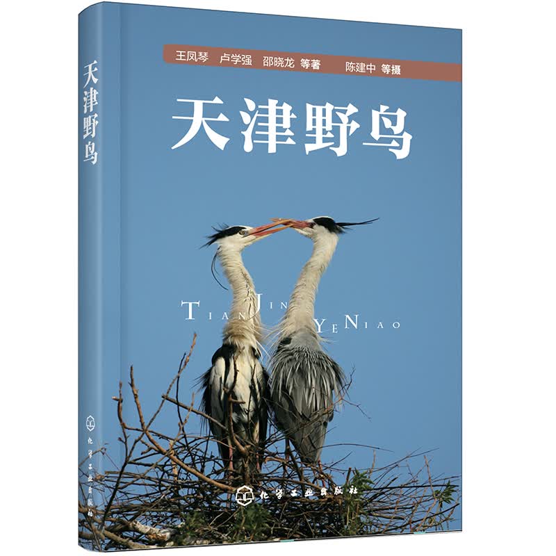 天津野鸟（鸟图鉴 北京观鸟 华北野鸟等）
