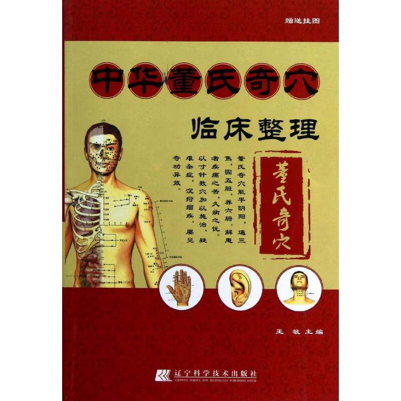 中华董氏奇穴临床整理(赠挂图)