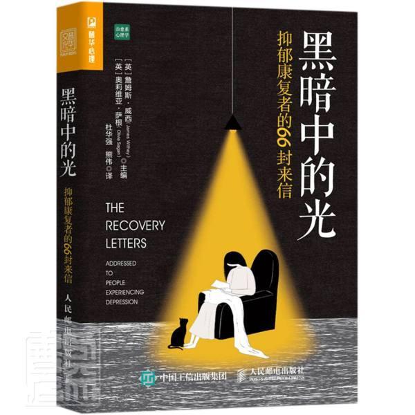 黑暗中的光心理学抑郁症康复 图书
