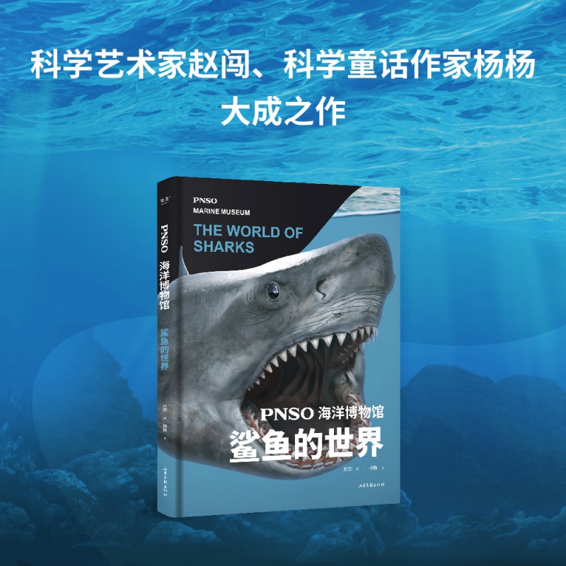 PNSO海洋博物馆.鲨鱼的世界