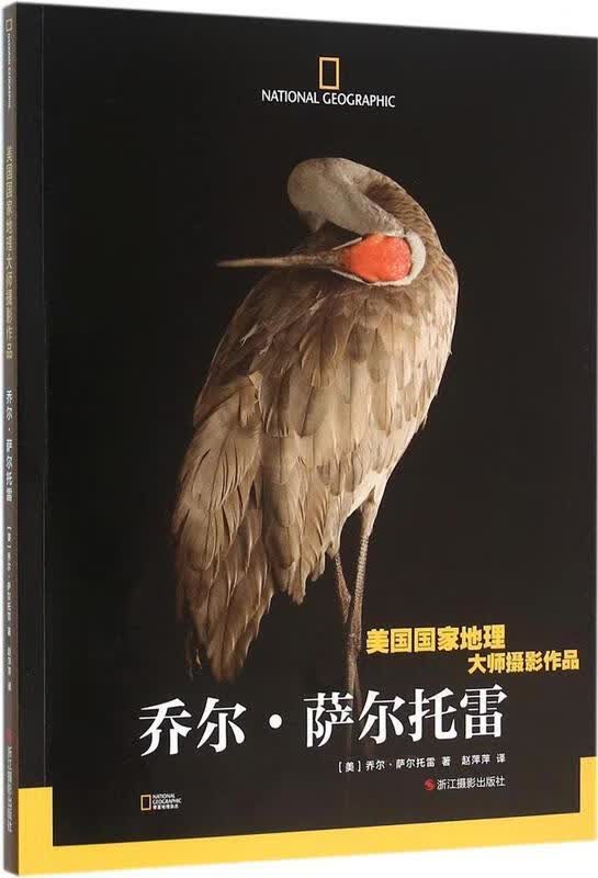 乔尔·萨尔托雷
