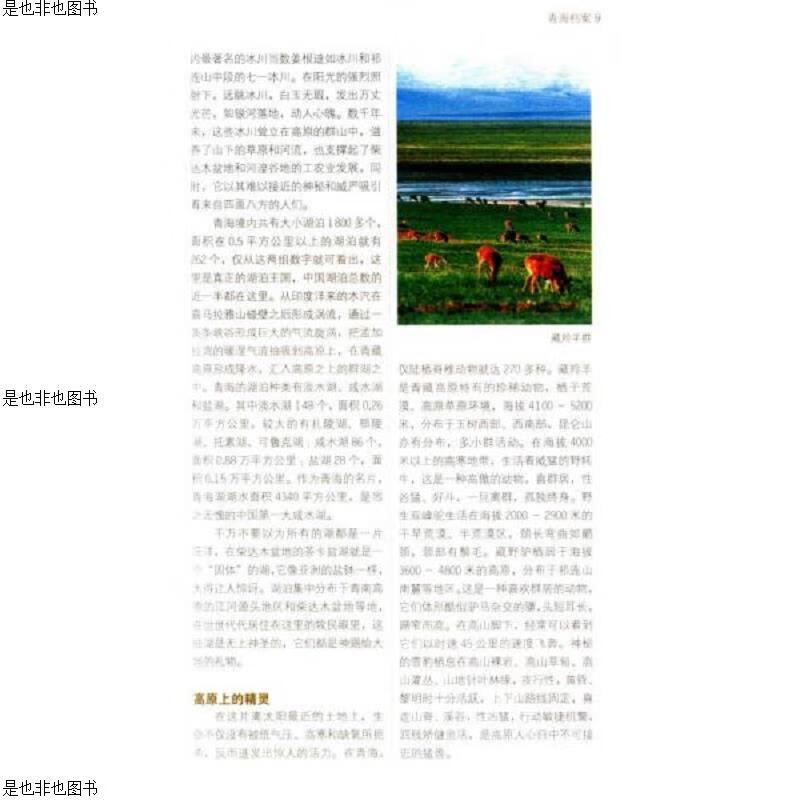 走遍中国：青海(第三版)