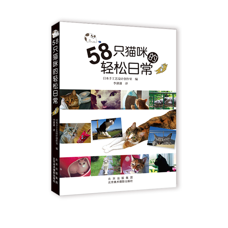 58只猫咪的轻松日常