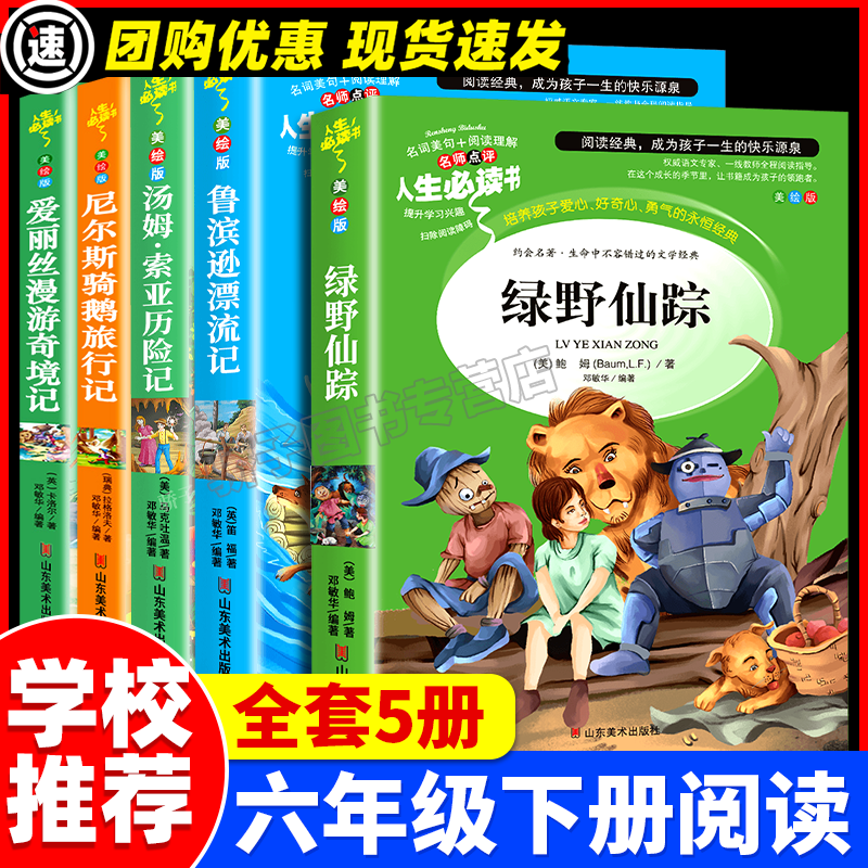 鲁滨逊漂流记尼尔斯骑鹅旅行记 汤姆索亚历险记 爱丽丝漫游奇境记人生必书彩插版六年级下小学生必课外书籍四 【全5册】读书吧六下+绿野仙踪