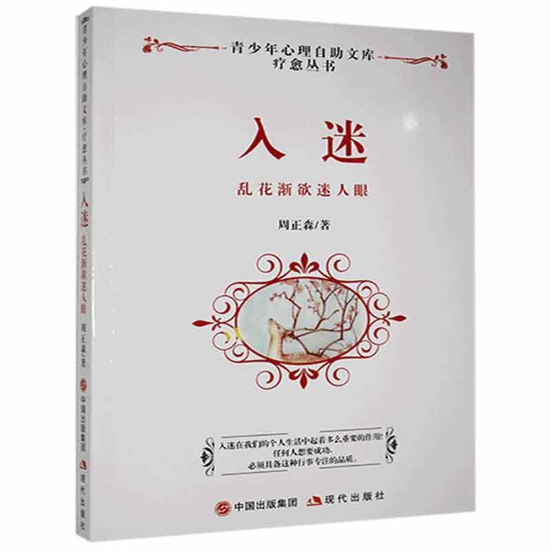 入迷:乱花渐欲迷人眼 9787514319640 心理学书籍