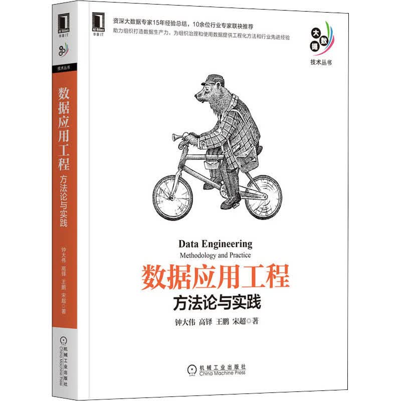 数据应用工程 方法论与实践 图书