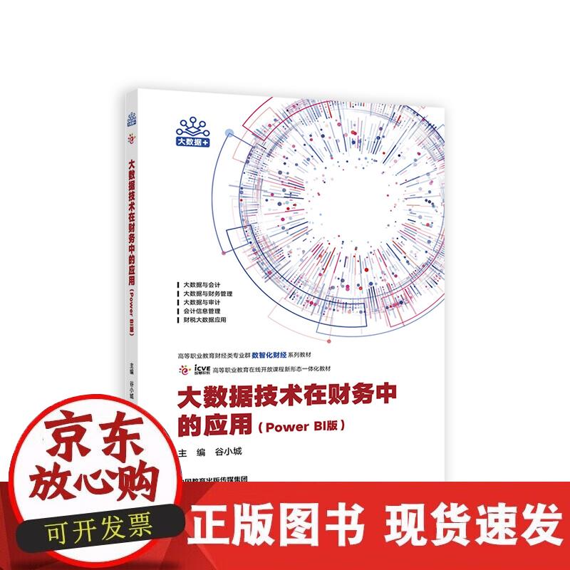 【现货】大数据技术在财务中的应用（Power BI版）