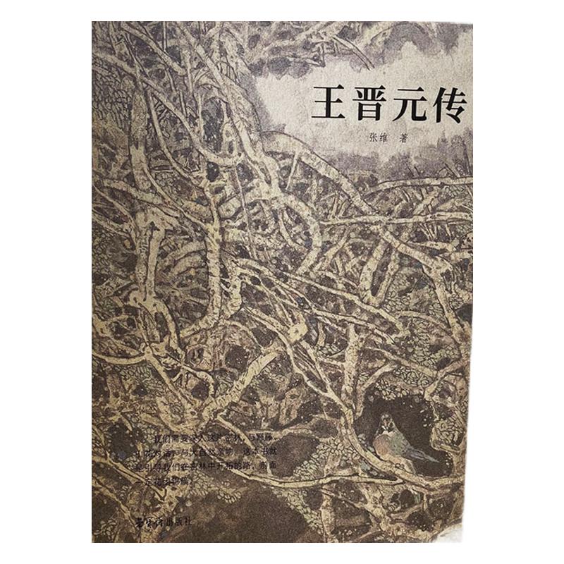 王晋元传
