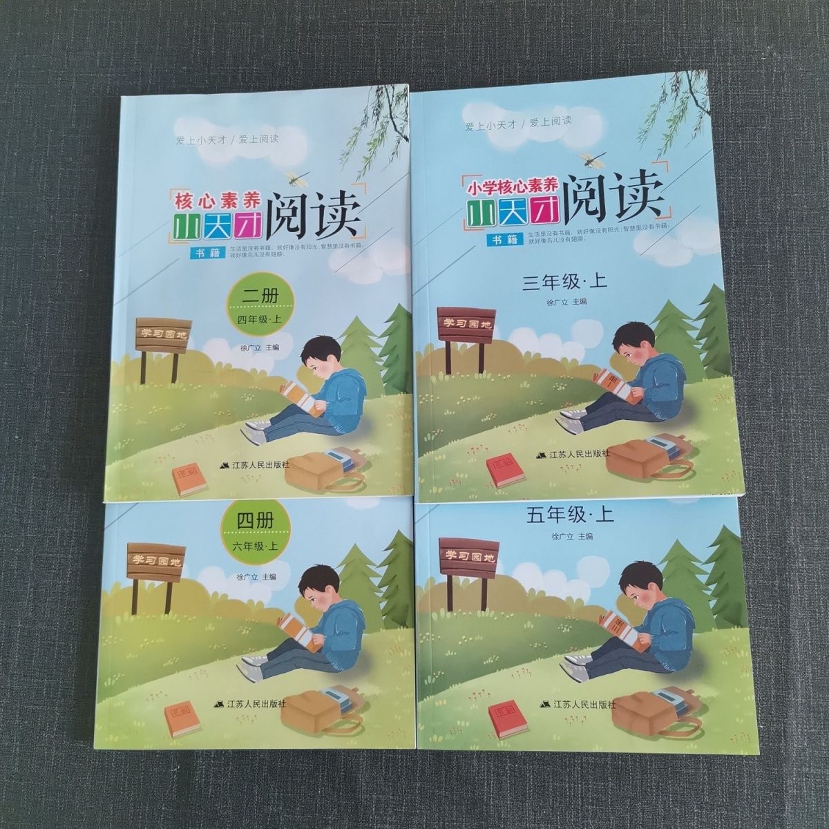 2022小学核心素养小天才阅读 三年级四年级五年级 六年级各科自选 四年级二册上