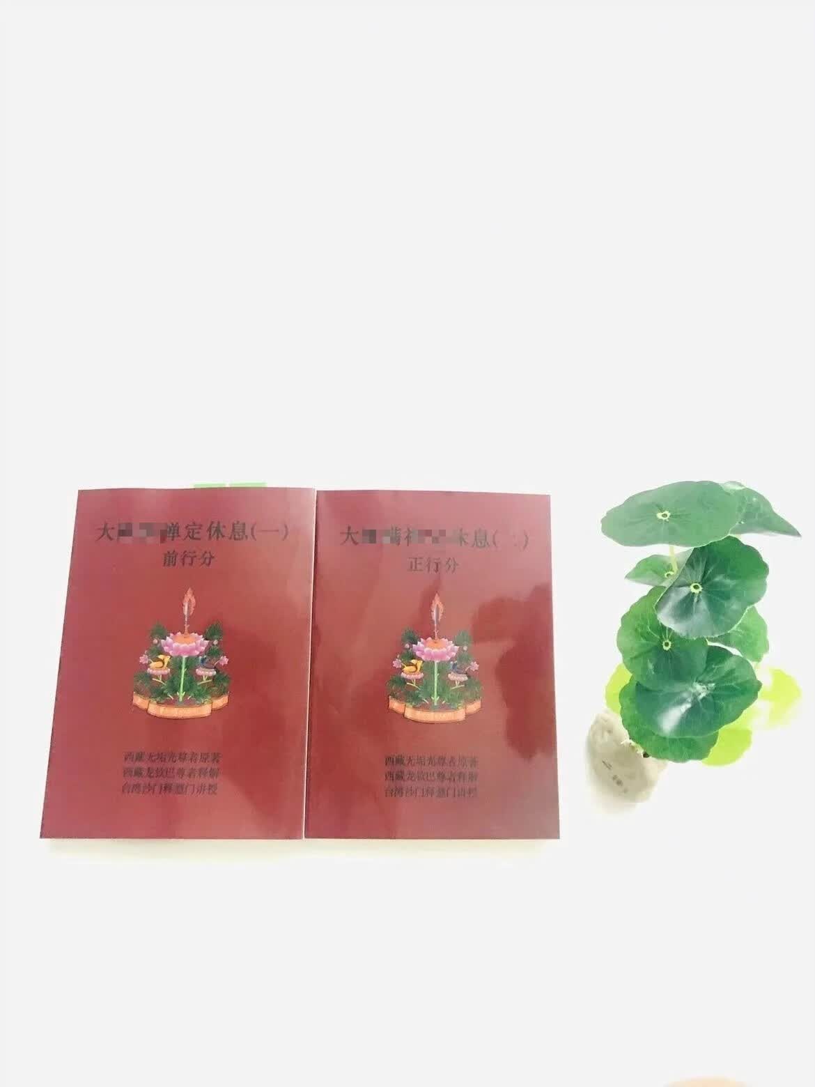 绝版已久，大y满禅定休息1.2