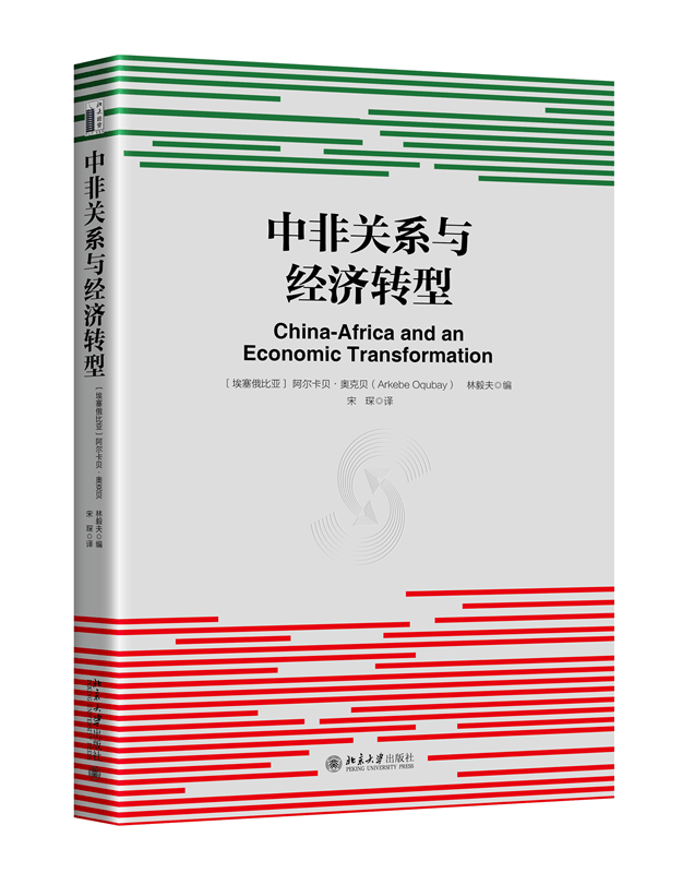 中非关系与经济转型