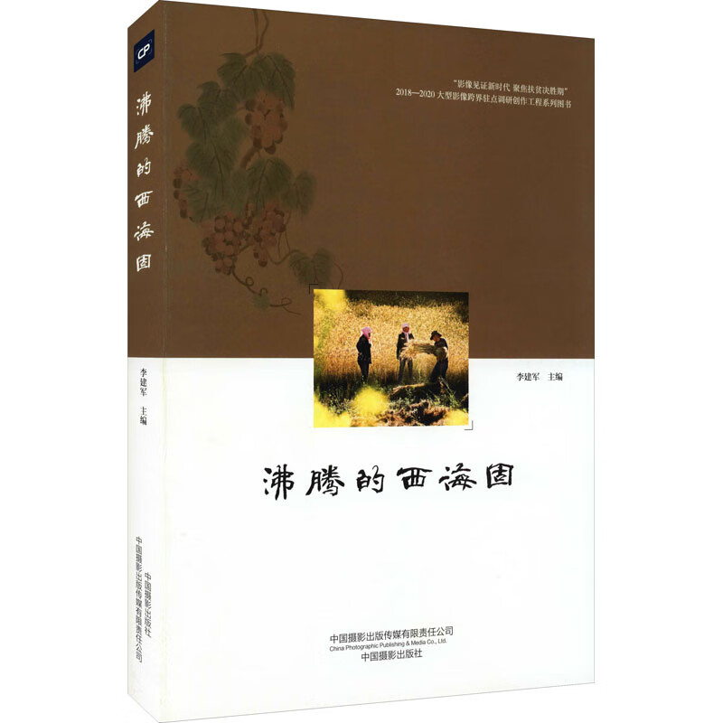 沸腾的西海固 图书
