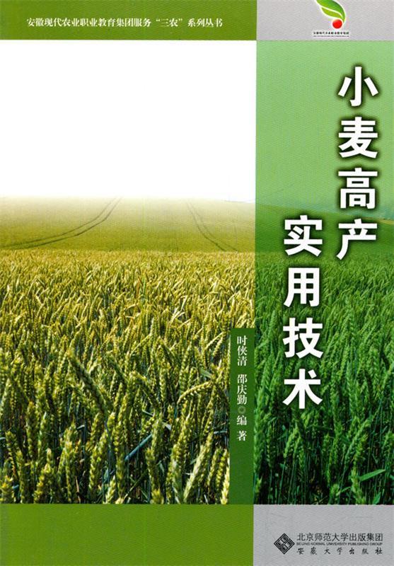 小麦高产实用技术