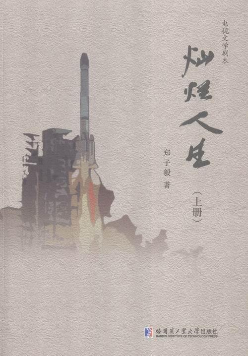灿烂人生电视文学剧本上下册郑子毅文学9787560355344电视文学剧本中国当代