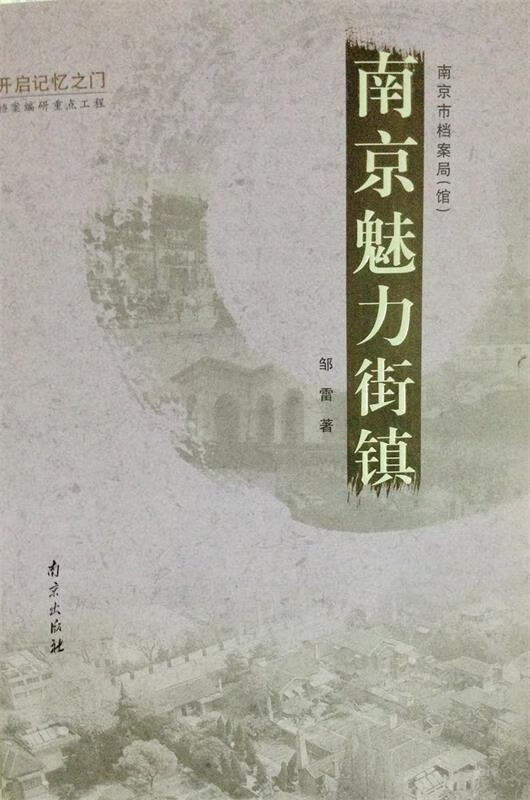 南京魅力街镇 邹雷 著