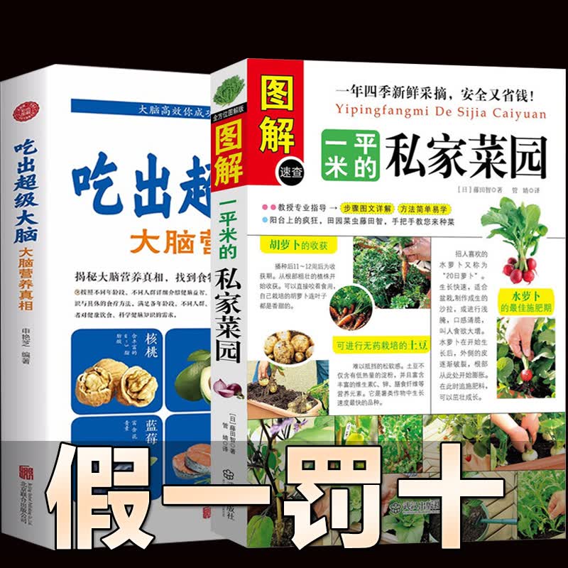 全2册 图解一平米的私家菜园+吃出级大脑：大脑营养真相 蔬菜种植技术室内室外阳台露台阳台庭院顶楼 种菜栽培实用手册书籍