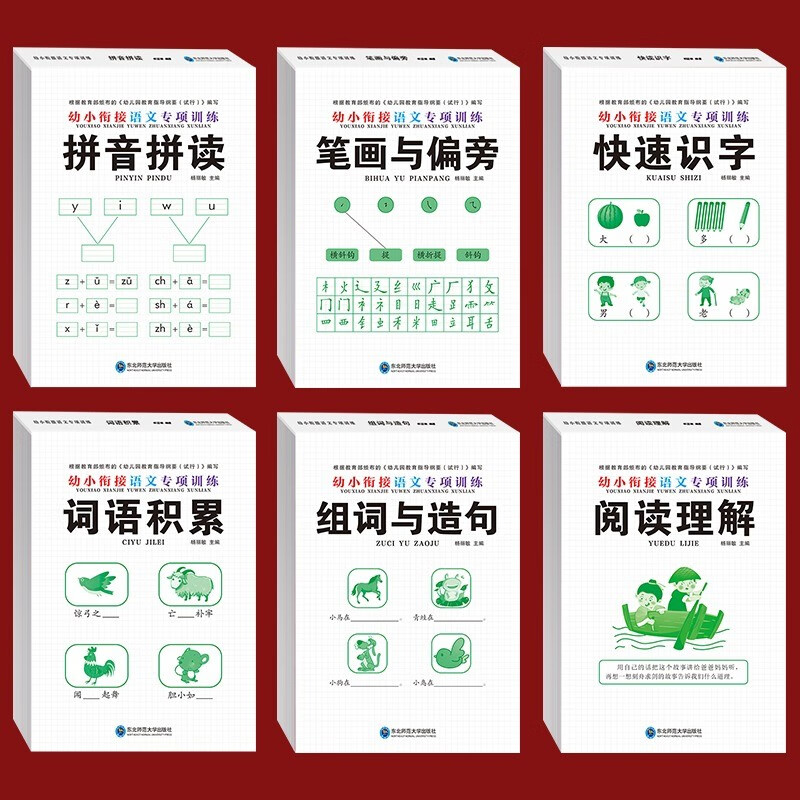 全6册幼小衔接语文专项训练 汉语拼音拼读训练幼儿识字每日一练学前幼儿园中大班拼音学习神器幼升小入学准备一年级练习册教材全套 幼小衔接语文专项训练6册