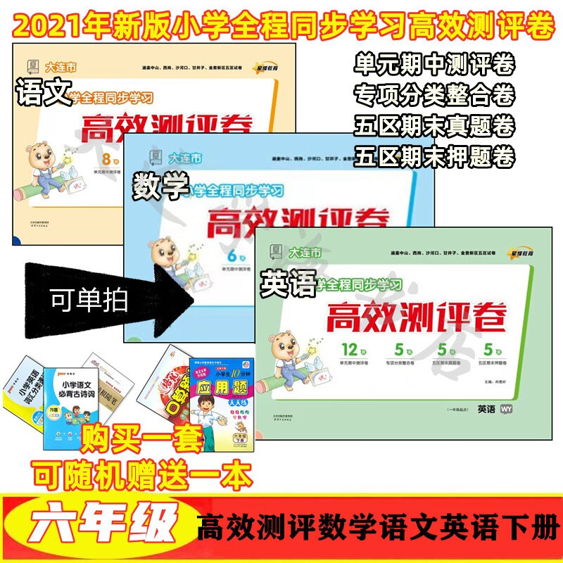 高效测评卷六年级数学语文英语下册2021版大连金牌名校期末模拟卷 语文
