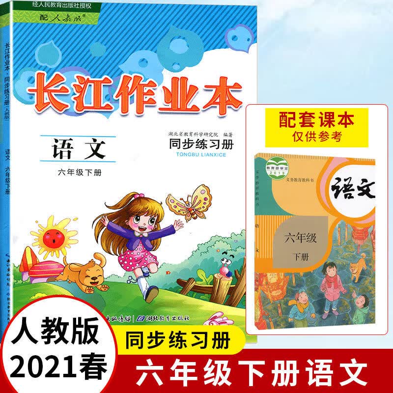长江作业本3456三四五六年级语文数学英语科学道德与法治下册人教 六年级下册 长江作业本数学RJ