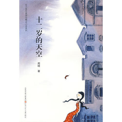 十二岁的天空【好书】