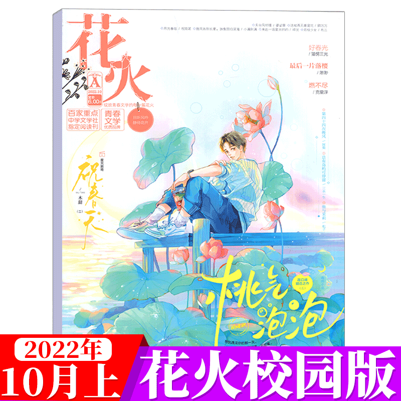 花火杂志 校园版 2022年10月A