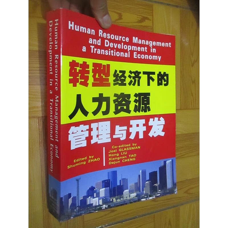 转型经济下的人力资源管理与开发 (大16开)