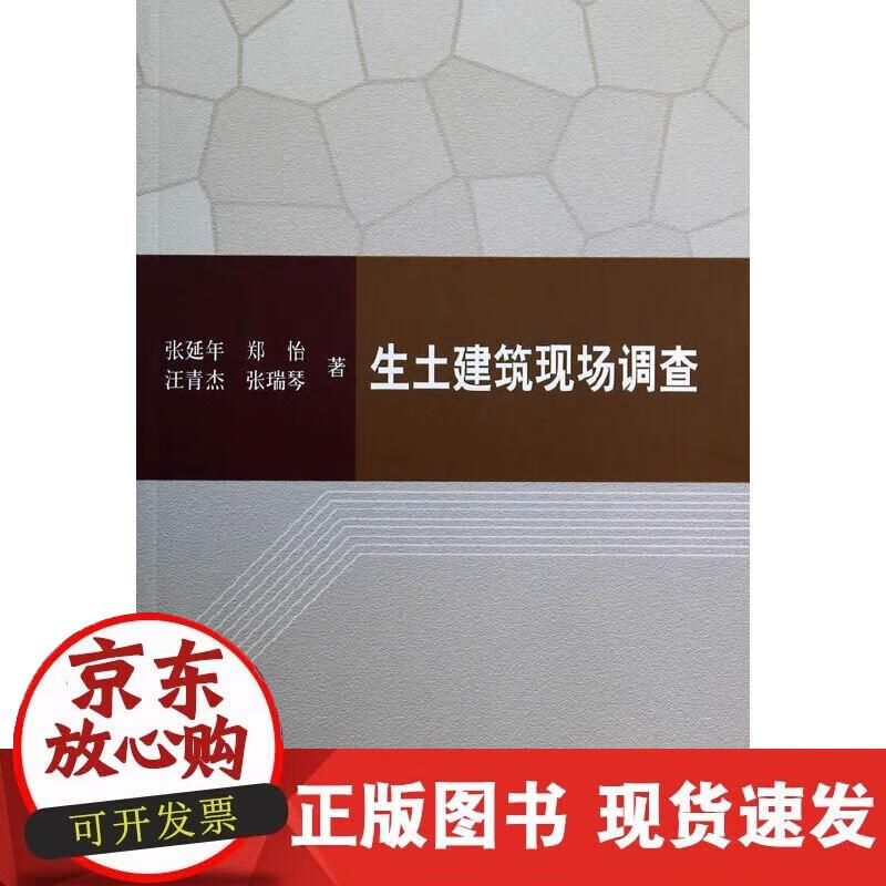 【现货】生土建筑现场调查