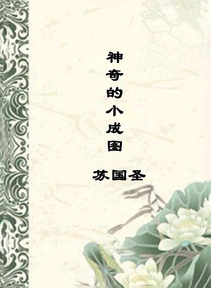 神奇的小人图 苏国圣 著/现货
