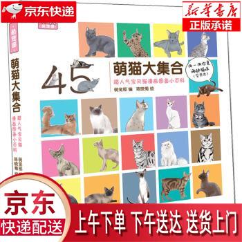 【新华畅销图书】萌猫大集合—超人气宝贝猫漫画图鉴小百科 陈晓菊 绘 世界图书出版上海有限公司 正