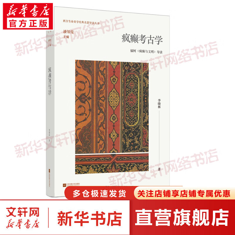 疯癫考古学 福柯《疯癫与文明》导读 图书