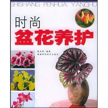 时尚盆花养护 曾宋君