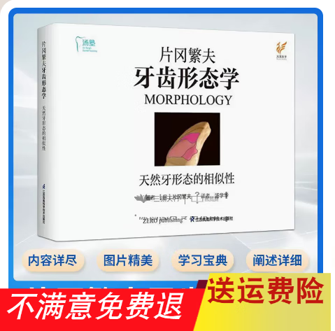 片冈繁夫牙齿形态学 天然牙形态的相似性 详细阐述了三种基本形态 深红色 原版铜版纸
