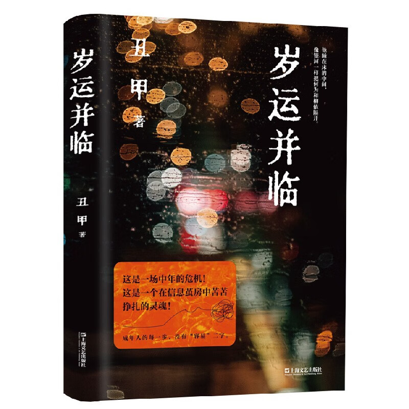 岁运并临（丑甲最新长篇现实主义小说。一本书，道尽成年人的每一步，没有“容易”二字。每一段人生变化，都踩中你的痛点！）