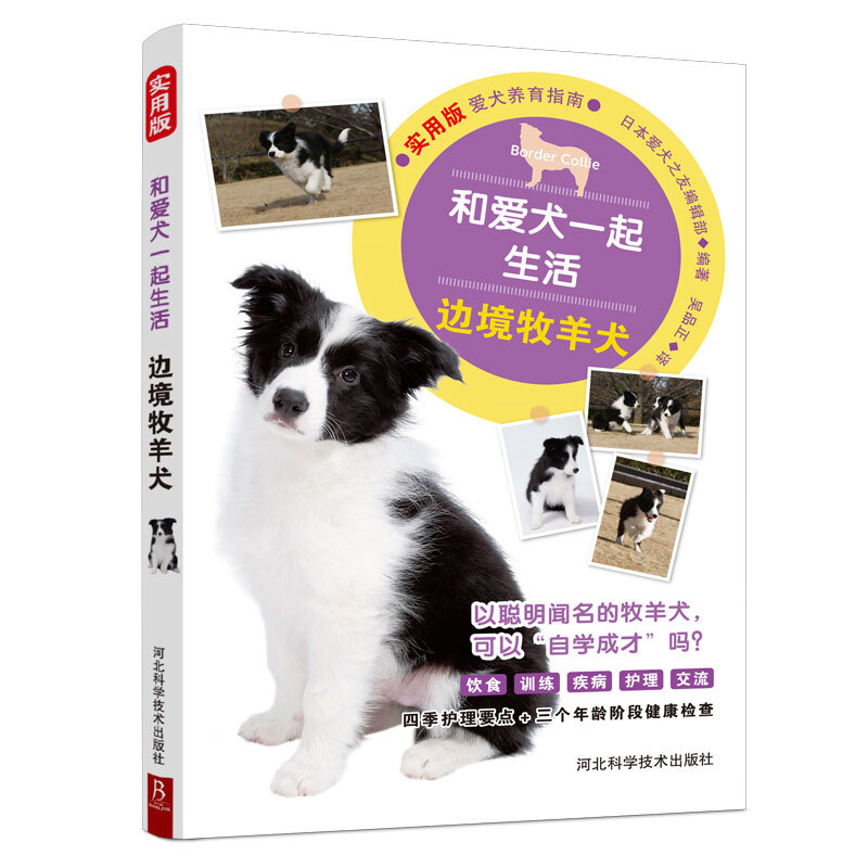 图解狗狗心理学. 和爱犬一起生活：边境牧羊犬