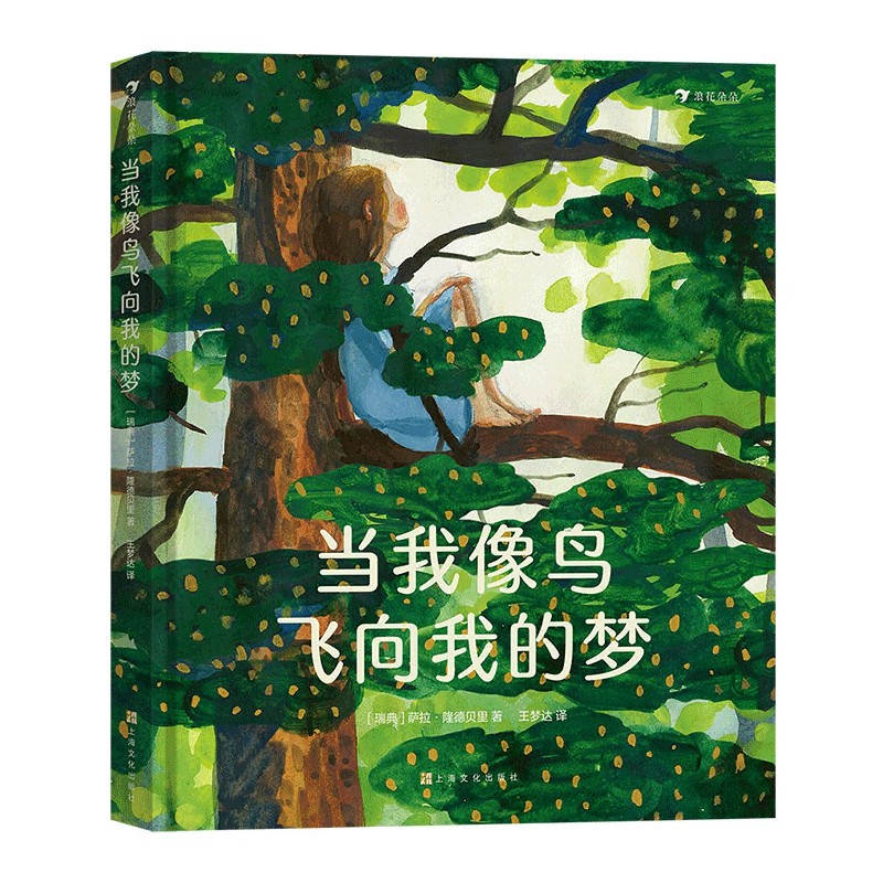 当我像鸟飞向我的梦(精)