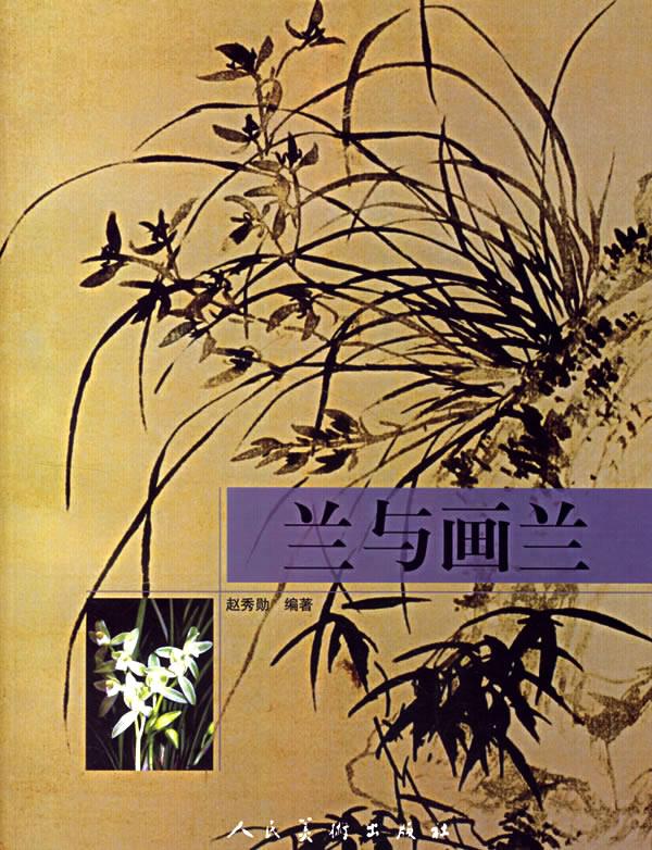 兰与画兰