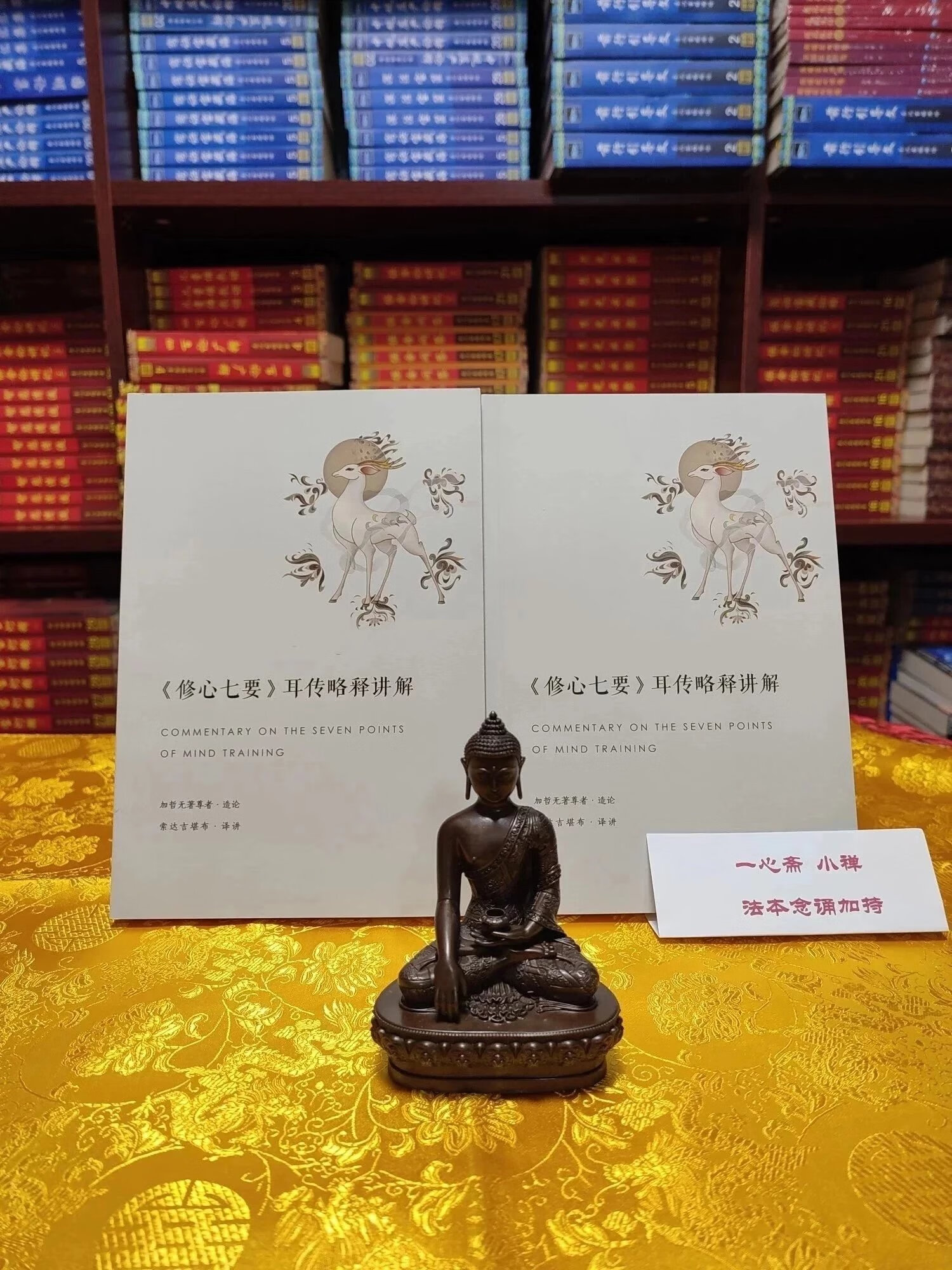 【稀有】修心七要 索师文集316讲解  外面已绝，量少