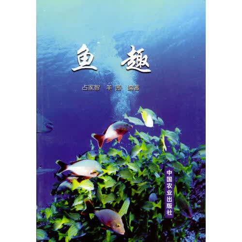 鱼趣【精选】