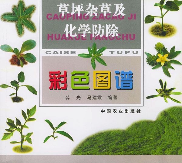 草坪杂草及化学防除彩色图谱 薛光,马建霞 编著