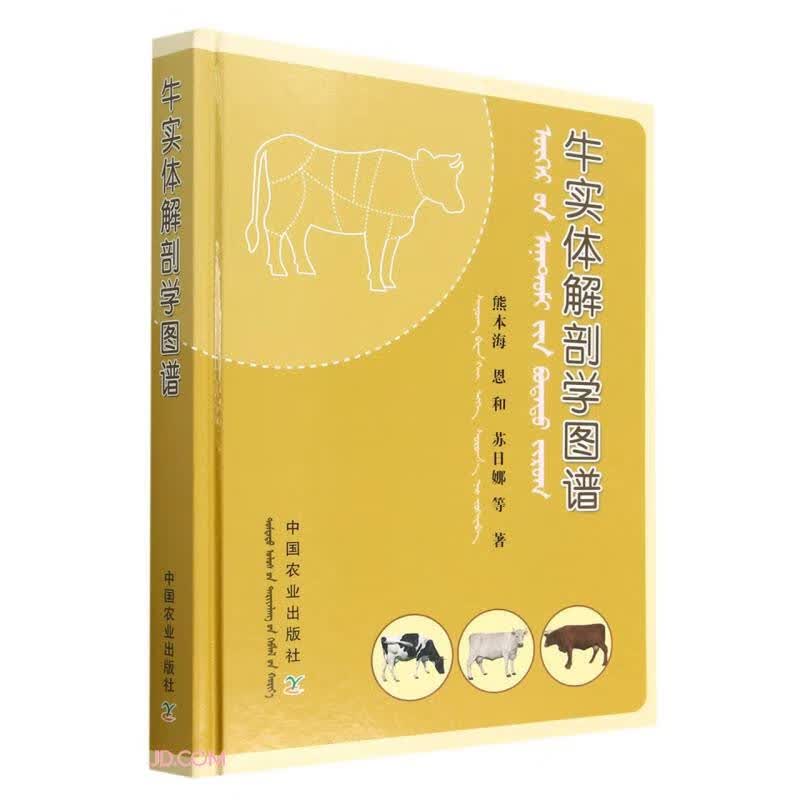 牛实体解剖学图谱