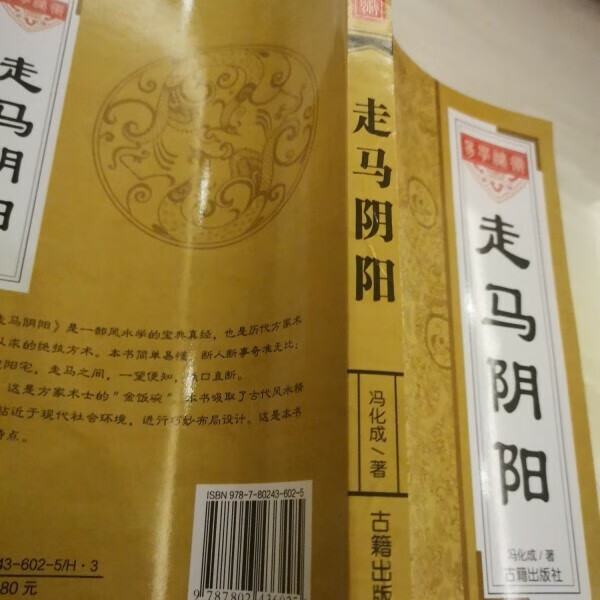 走马阴阳 玄空飞星 阴阳宅基础图解 冯成化著 家居风水书籍