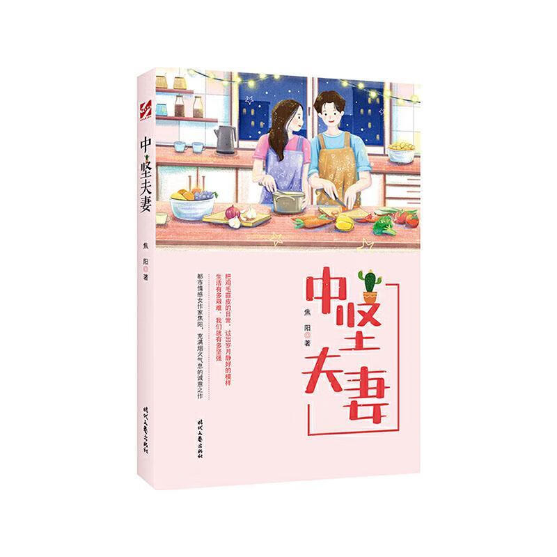 中坚夫妻焦阳小说9787538761474