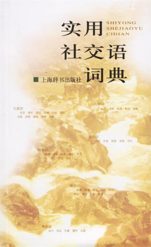 实用社交语词典 王雅军 编著【书】