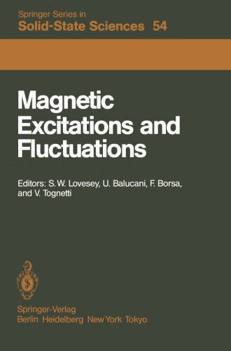 Magnetic Excitations and Fluctuations