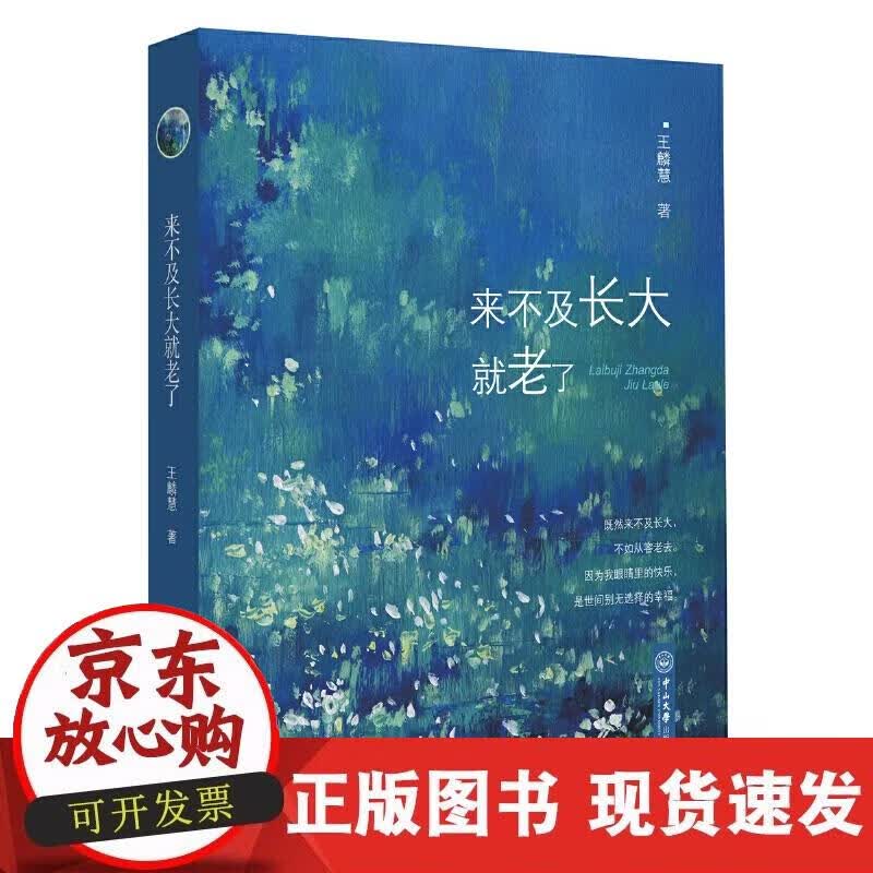 【现货】来不及长大就老了