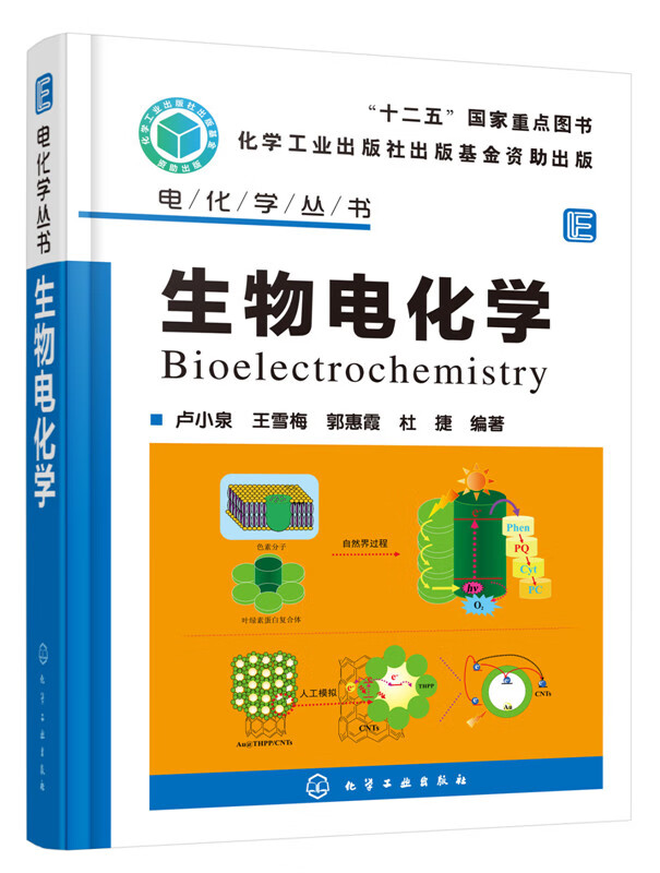 生物电化学 卢小泉 王雪梅 郭惠霞 杜捷 化学 电化学 电化学分析仪器 电化学传感器 自组装膜 应用