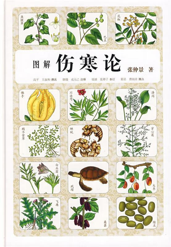 图解伤寒论 (汉)张仲景