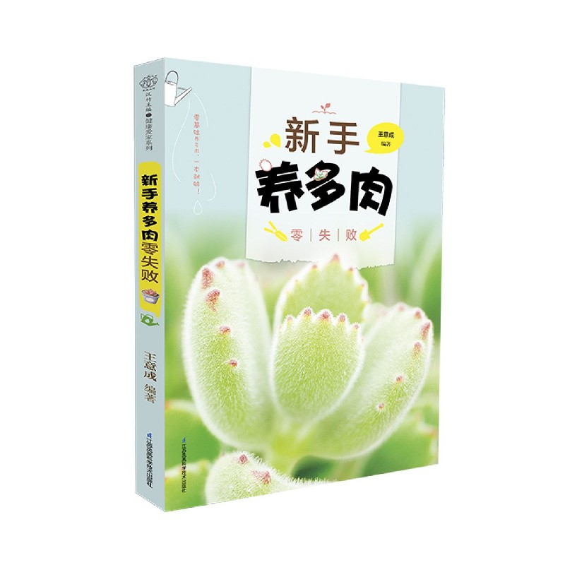 新手养多肉零失败